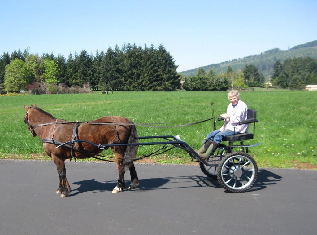 Two Wheel Mini-Carriages for Small Ponies, Shetlands and Miniature Hor ...