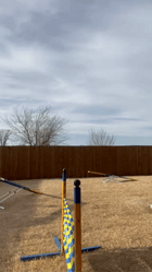 Panel Jump **NEW Design!** – Dog Agility USA